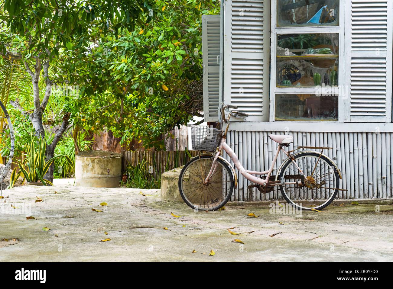 Old bycycle neat wooden window in summer with copy space Stock Photo ...