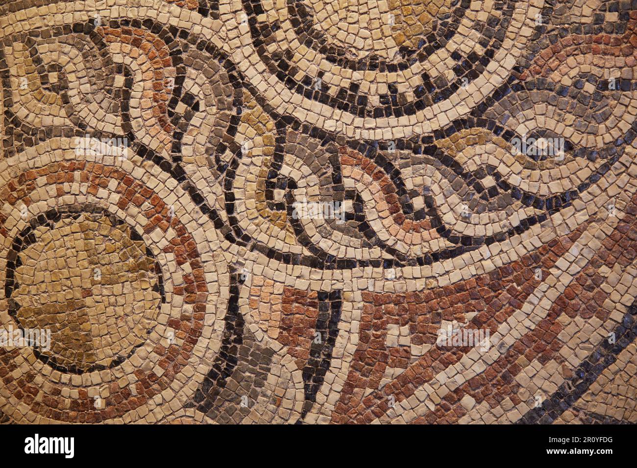 The Zeugma Mosaic Museum in Gaziantep, Turkey, Home to Some of the ...
