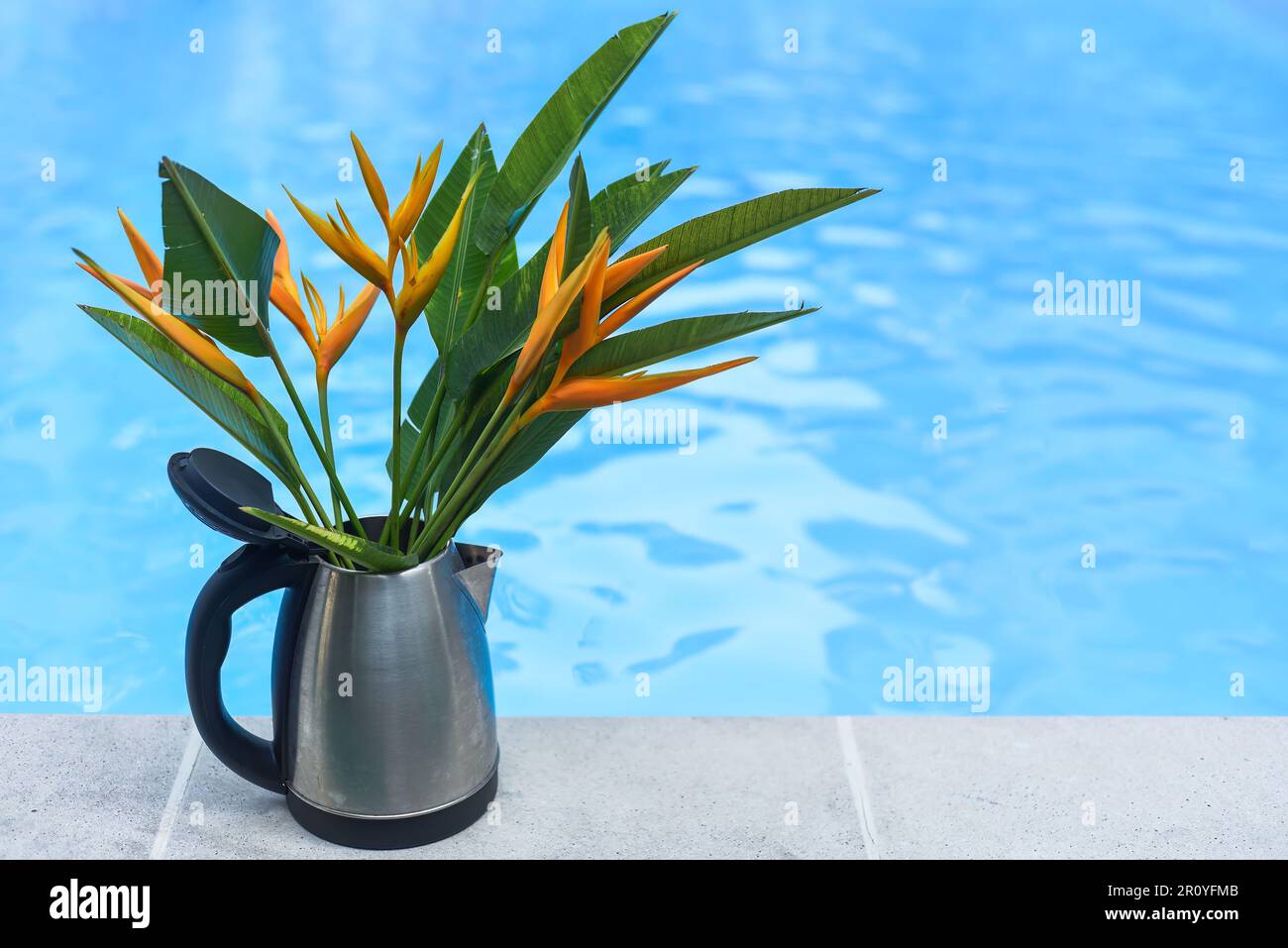 Bouquet of Heliconia flowers in opened kettle against of blue water ...