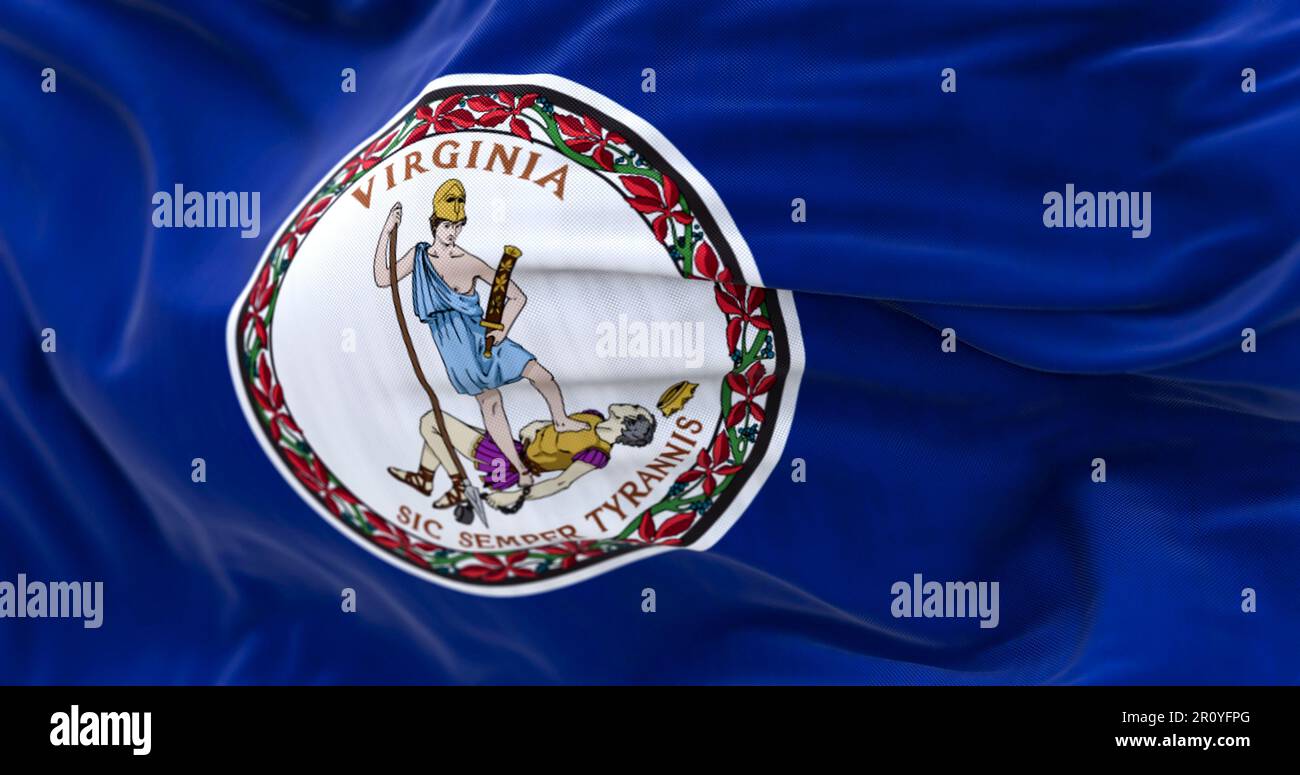 Close-up of Virginia state flag waving in the wind. Blue field with a ...