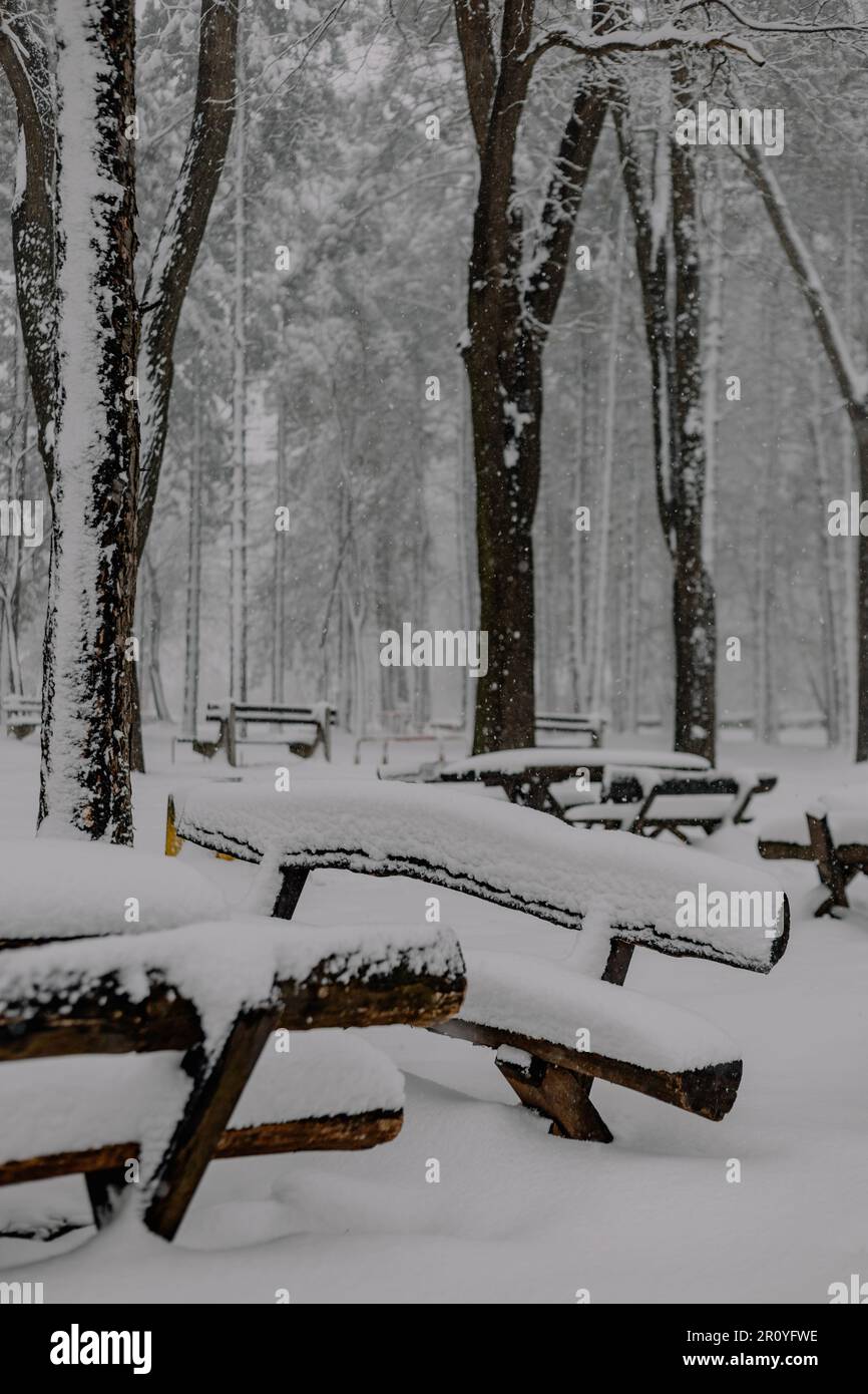 An expansive white winter wonderland featuring numerous wooden picnic tables nestled beneath a ...