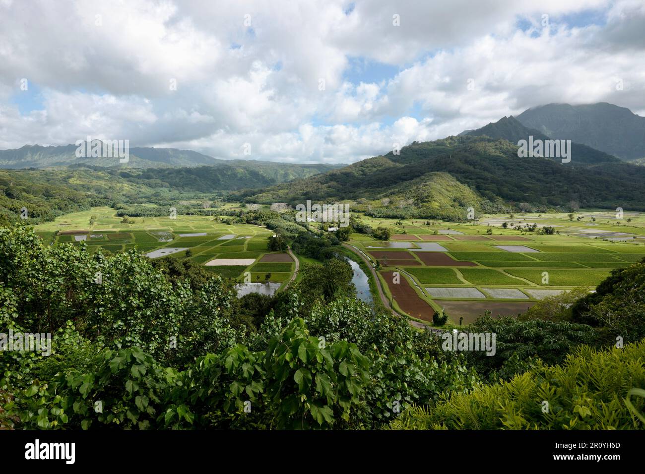 Taro river hi-res stock photography and images - Alamy