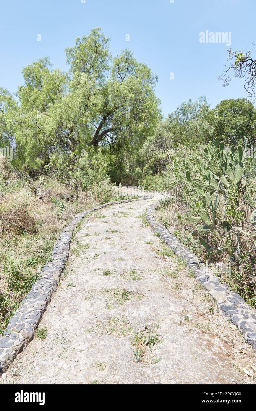 The Circular Pyramid of Cuicuilco to the South of Mexico City Predates ...