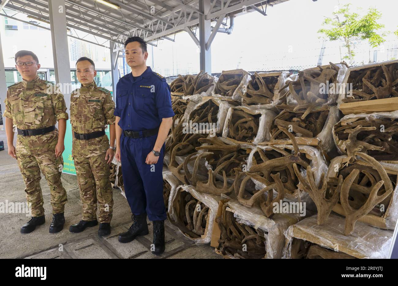 Joint operations task force hi-res stock photography and images - Alamy