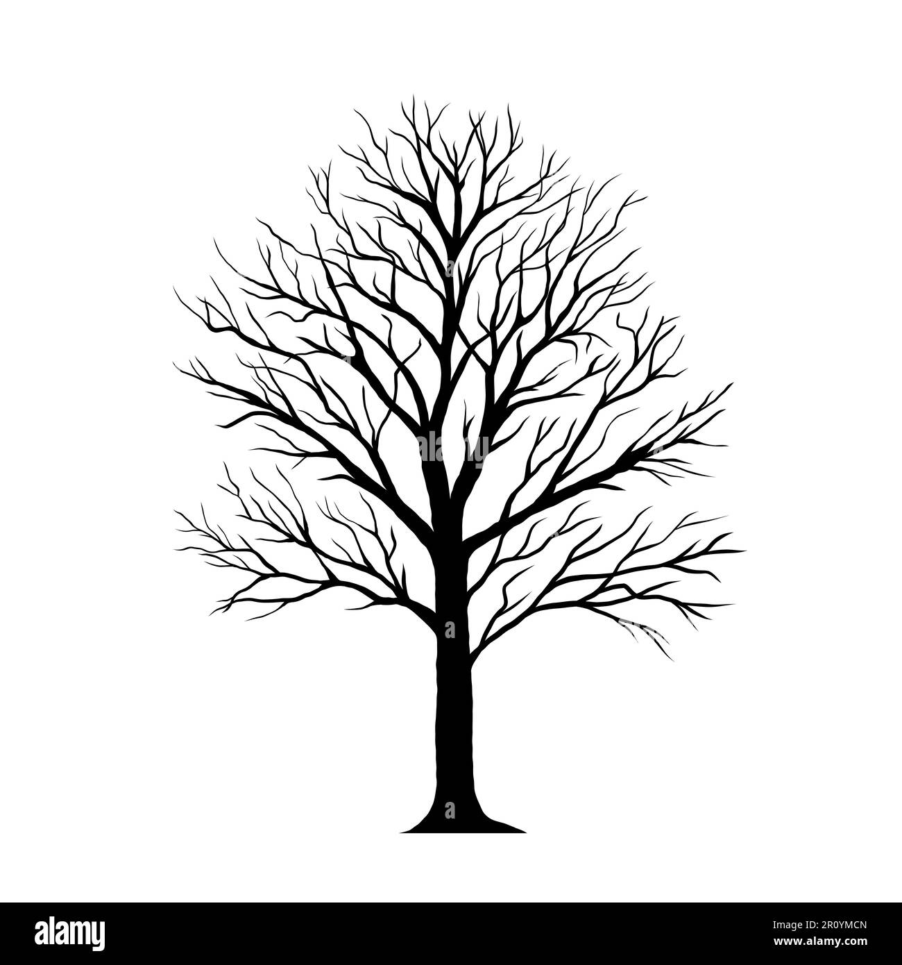 Silhouette of a hand drawn tree Stock Vector Image & Art - Alamy
