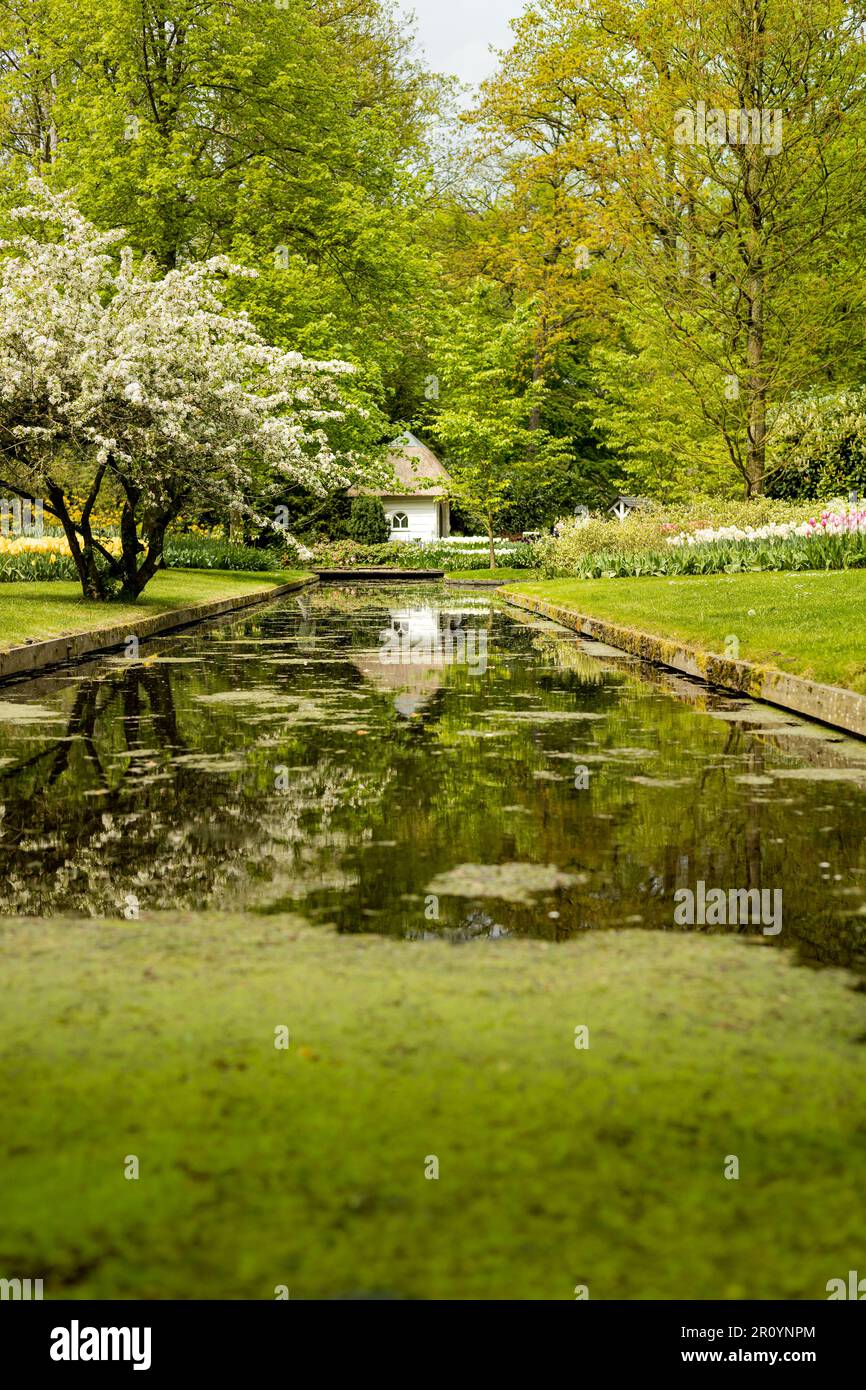 Forest house, Cottage between the tree with a stream Stock Photo - Alamy