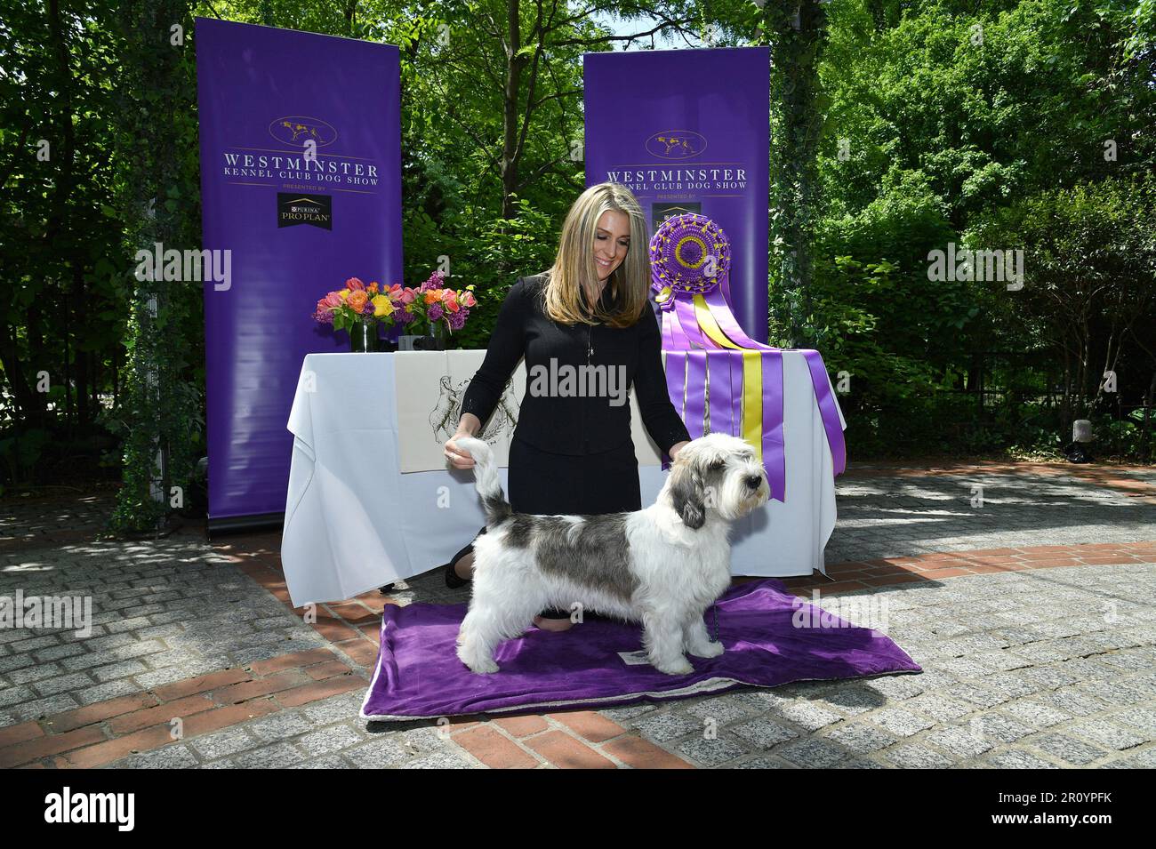 New York, USA. 10th May, 2023. With his handler Janice Hayes, ‘Buddy ...