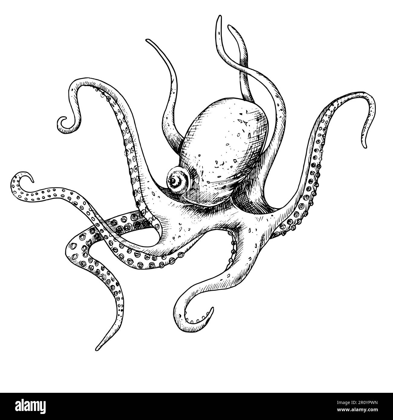 Evil Octopus Drawing