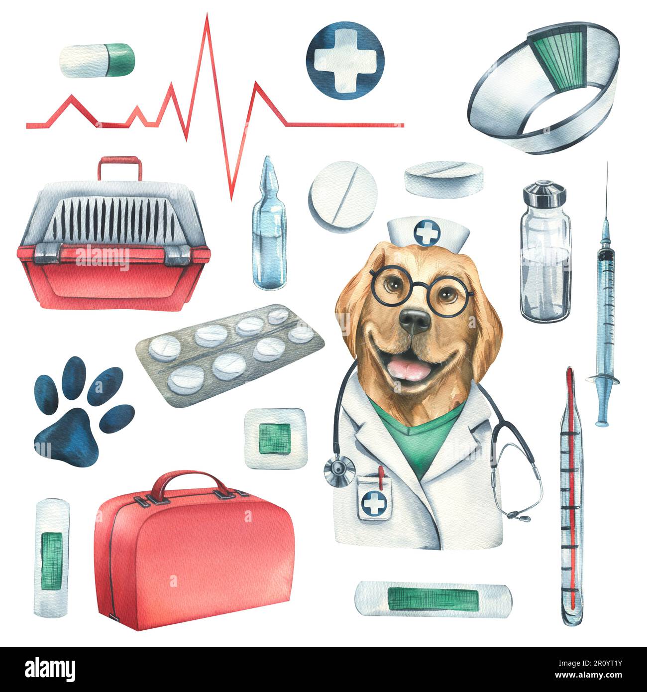 Veterinary set with doctor dog, pet carrier, medicines. Watercolor ...