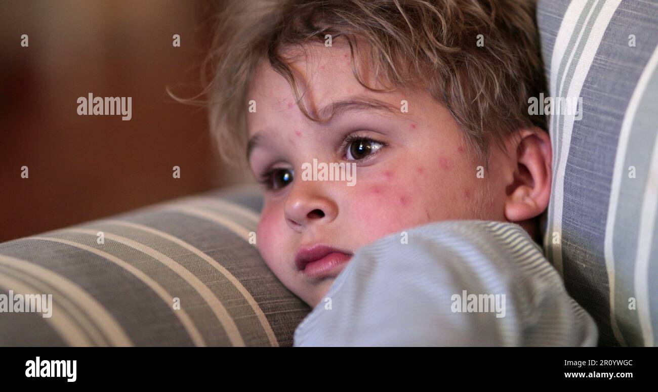 Little boy child watching TV at night. Toddler kid staring at screen ...