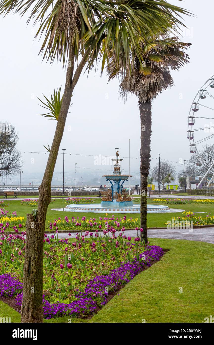 Fountain and Ferris Wheel in Princess Gardens, Torquay, Devon Stock ...
