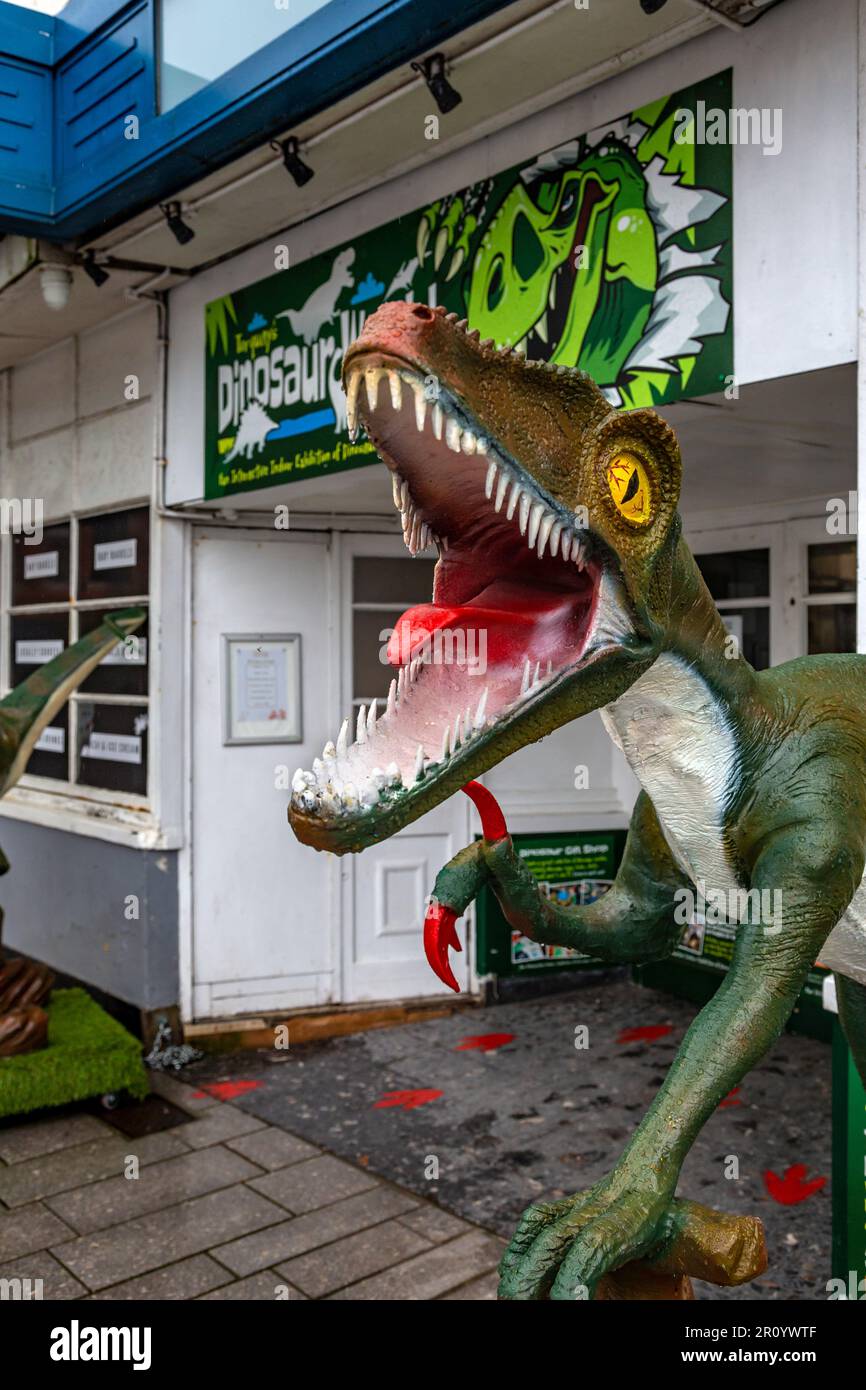 Dinosaur world torquay hi-res stock photography and images - Alamy