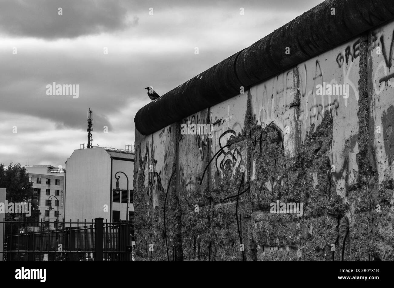 Crow on the Berlin Wall Stock Photo - Alamy