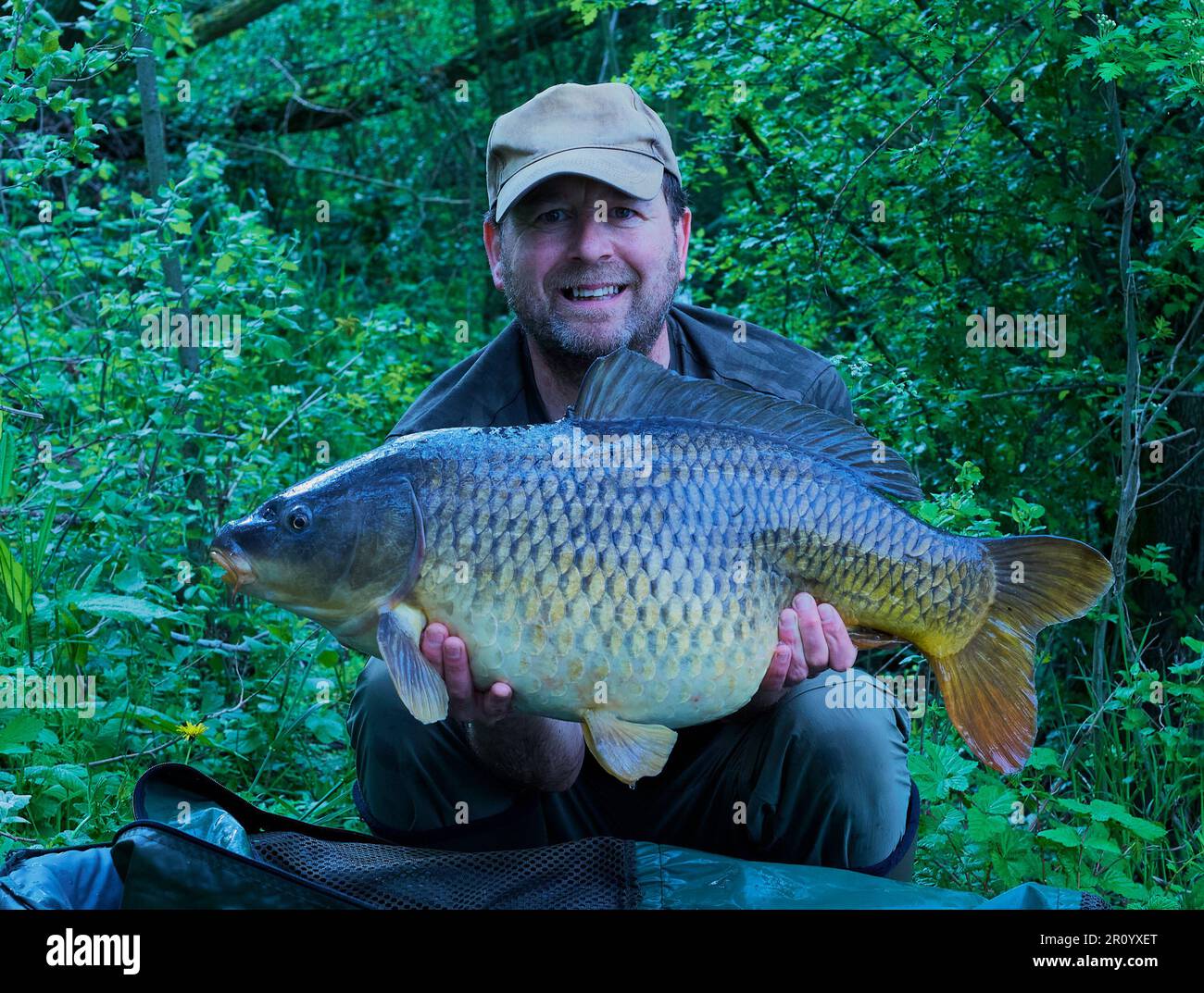 Close up carp scales hi-res stock photography and images - Alamy