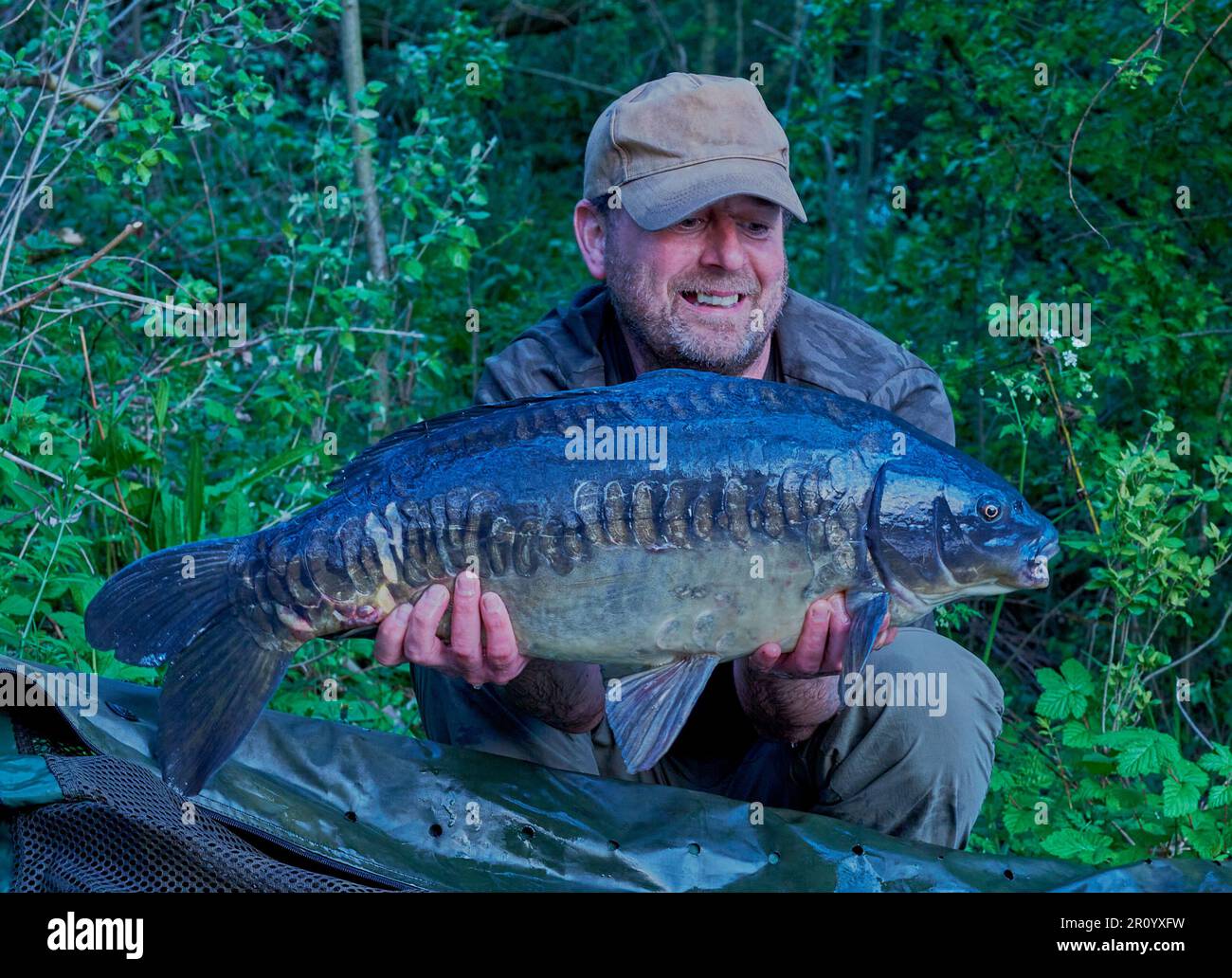 Carp angler holding up his catch a mirror carp the angler has a big ...