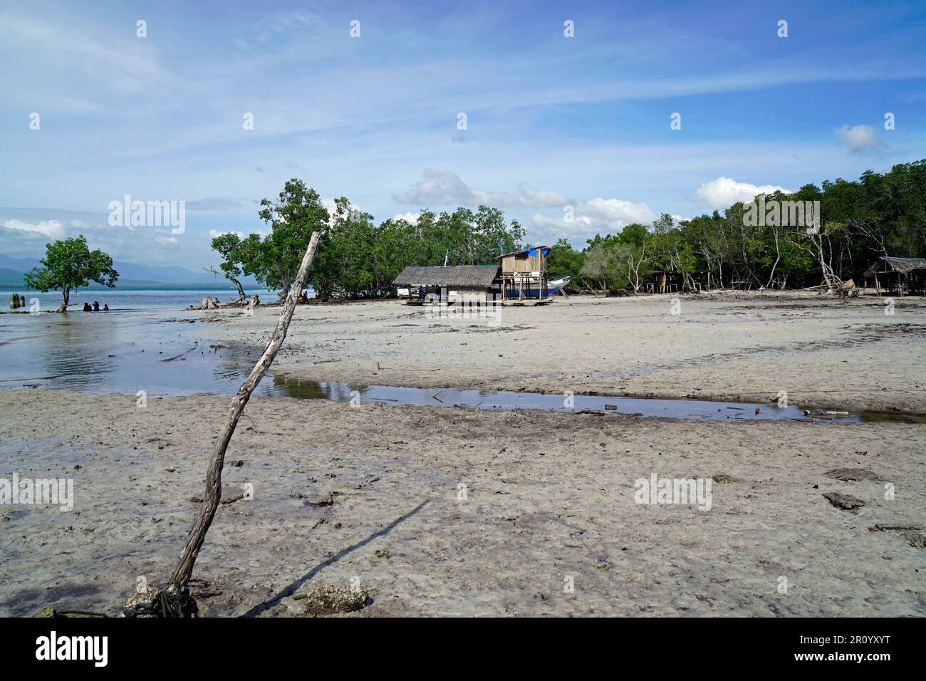 pristine beach in puerto princesa on palawan at the philippines Stock ...