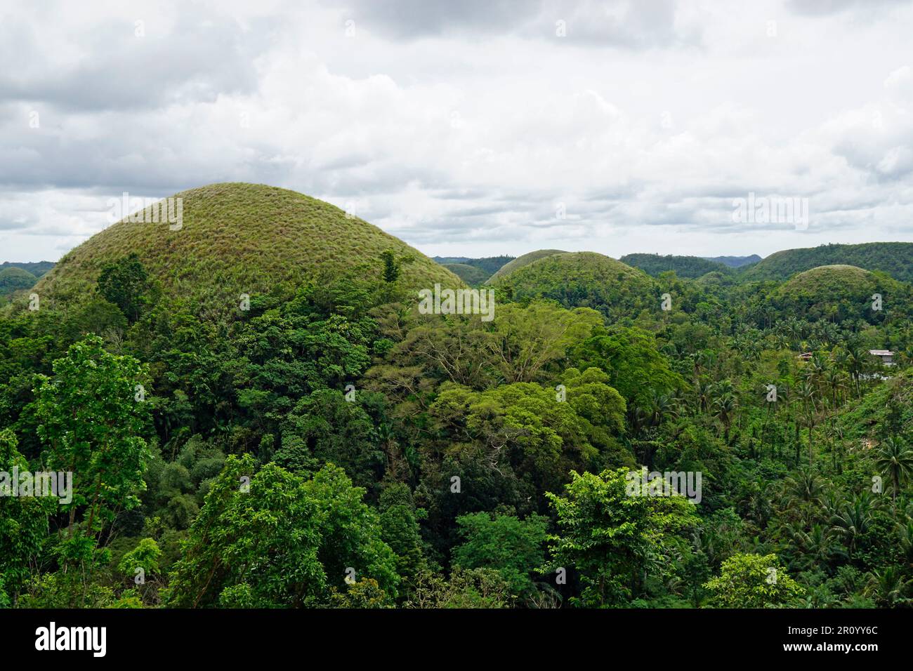 Chocolate Hills Wallpaper