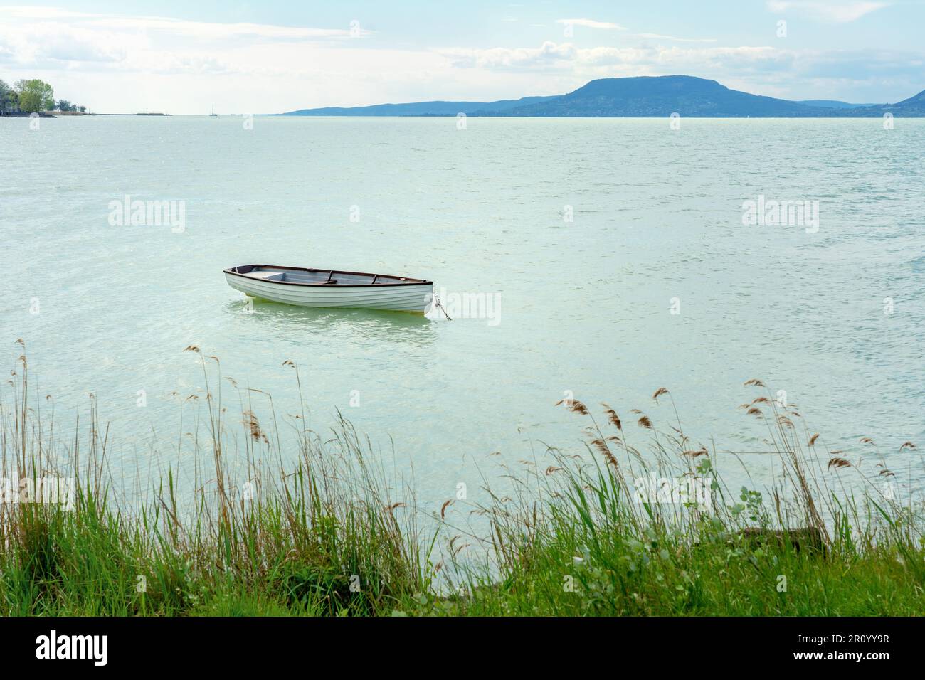 boat on Lake Balaton with Badacsonyhill background and reed in ...