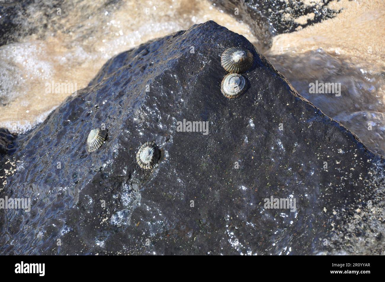 Coastal rocks and beach hi-res stock photography and images - Alamy