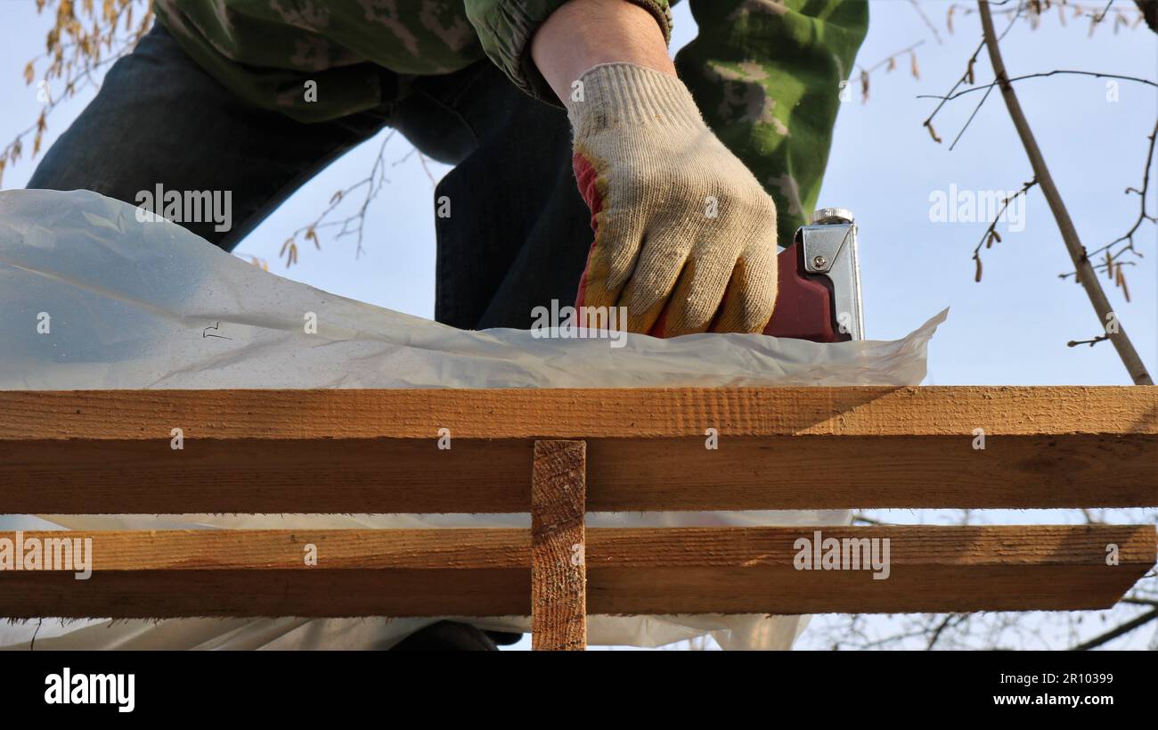 fixing plastic film on the wooden floors of the roof of a barn frame ...