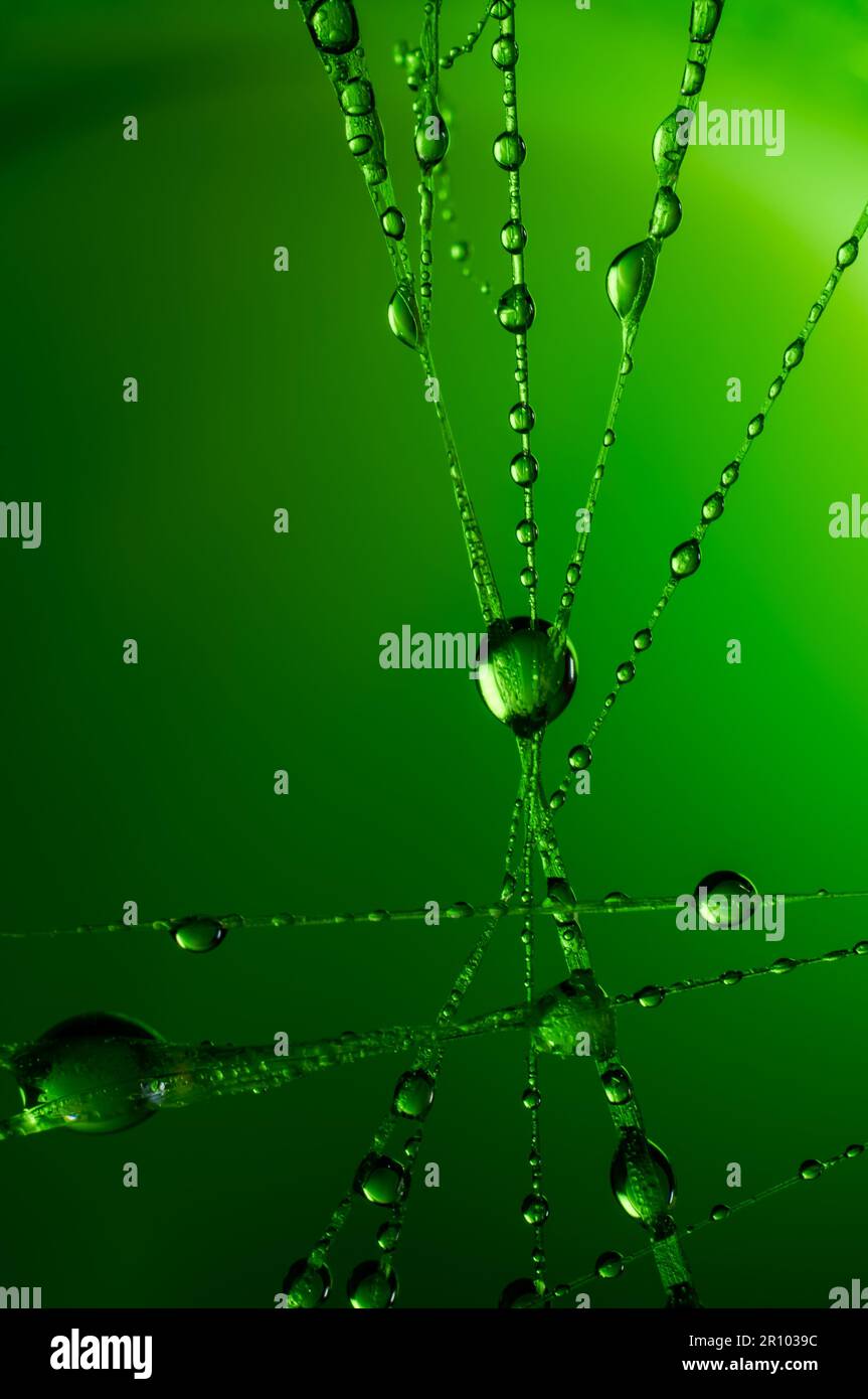 Water Web Background Patterns