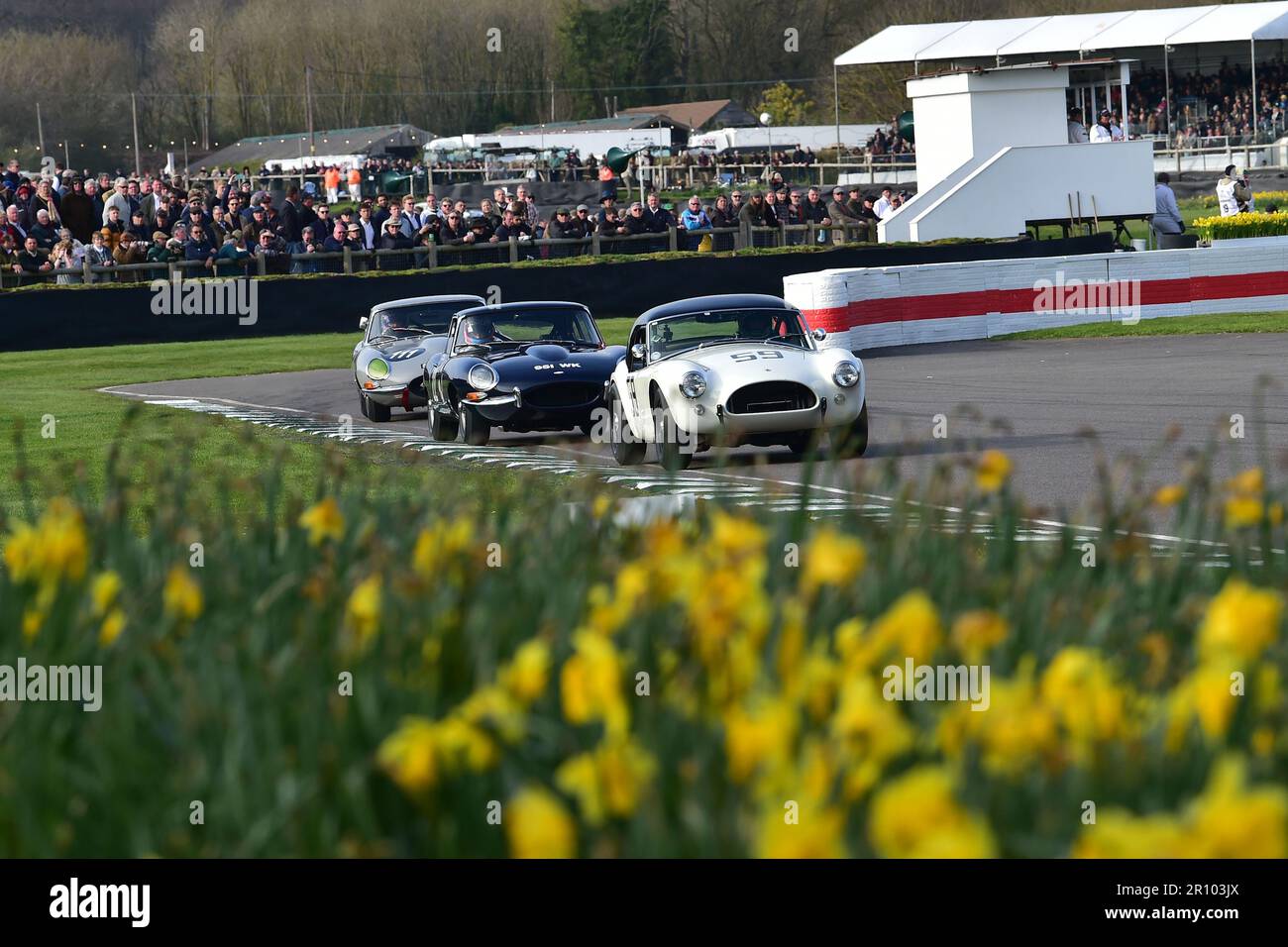 James Cottingham, AC Cobra, Moss Trophy, a single driver, twenty minute ...