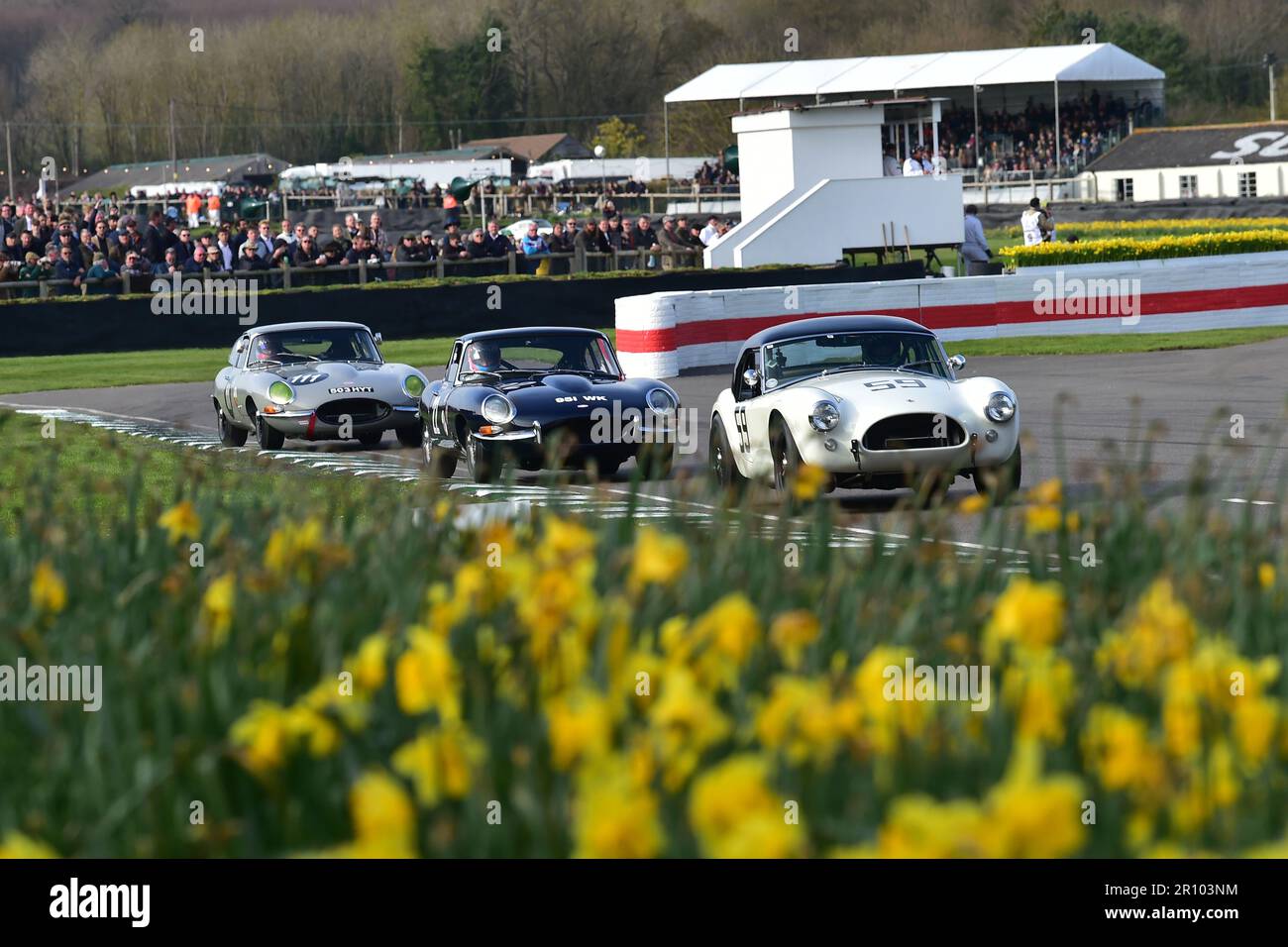 James Cottingham, AC Cobra, Moss Trophy, a single driver, twenty minute ...