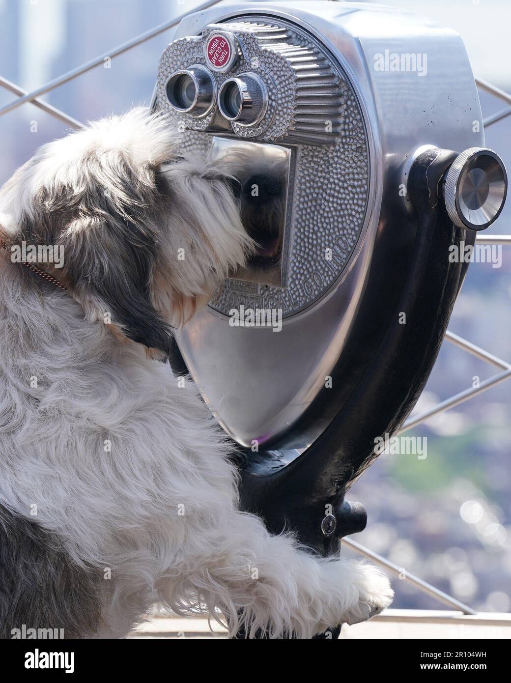 New York, NY, USA. 10th May, 2023. Buddy Holly at a public appearance ...