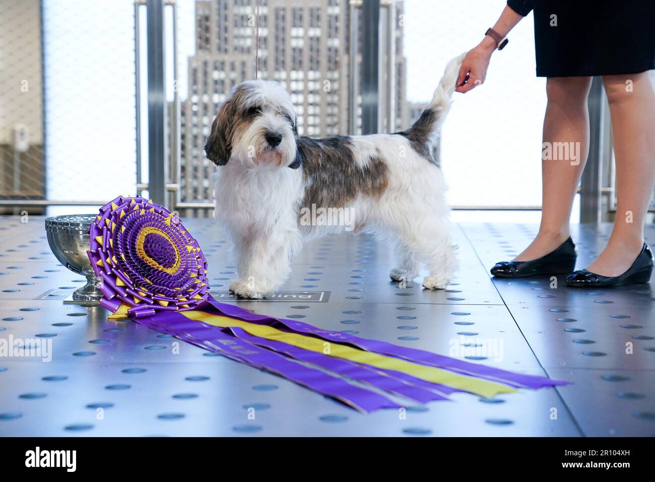 New York, NY, USA. 10th May, 2023. Buddy Holly at a public appearance ...