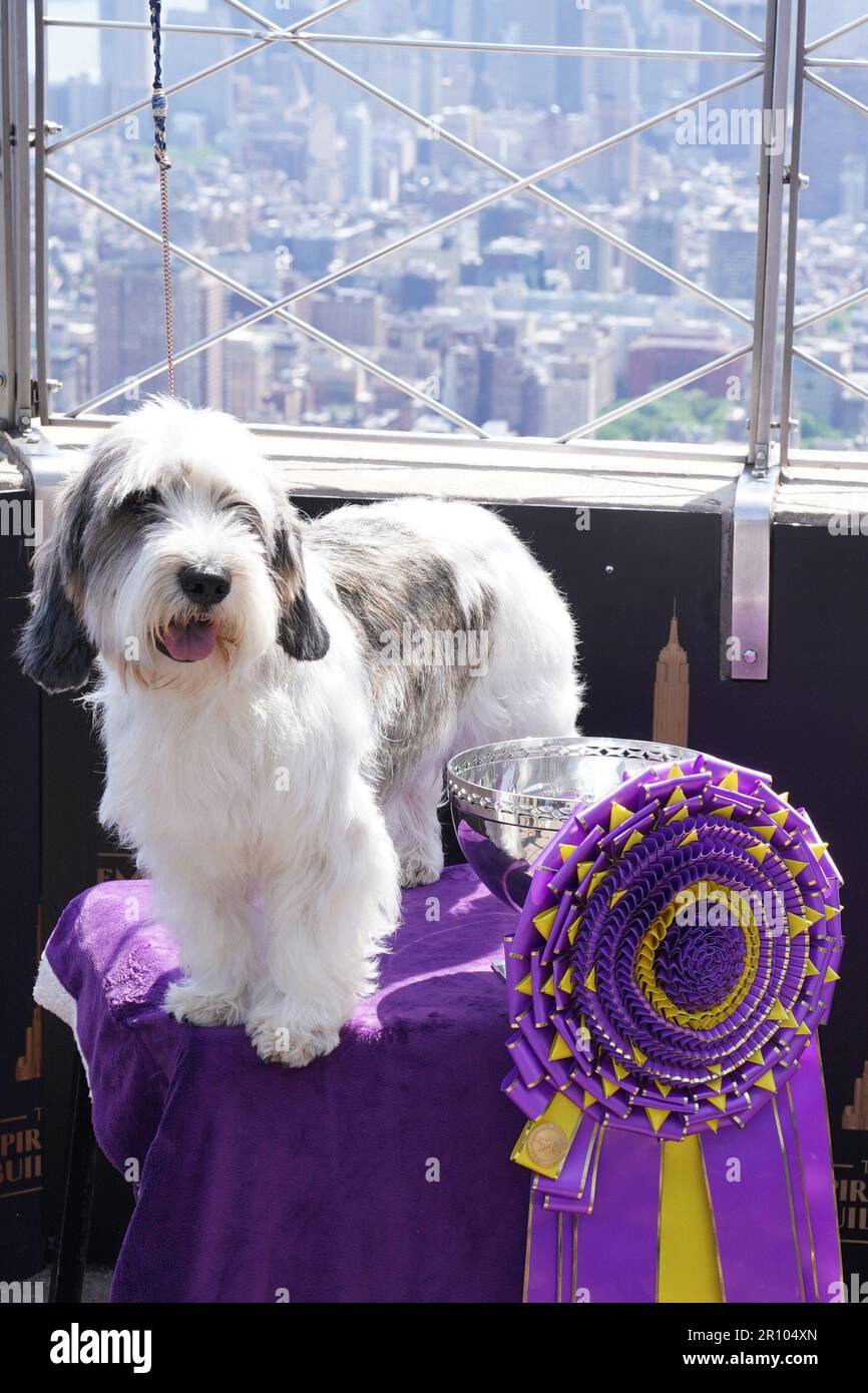 New York, NY, USA. 10th May, 2023. Buddy Holly at a public appearance ...