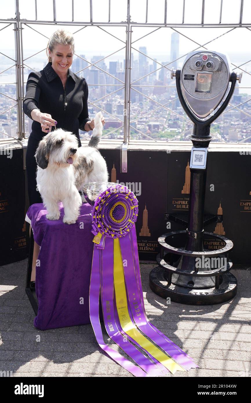 New York, NY, USA. 10th May, 2023. Janice Hayes, Buddy Holly at a ...