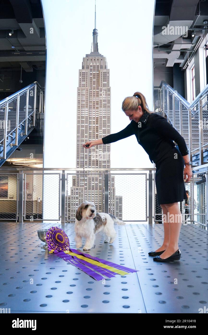 New York, NY, USA. 10th May, 2023. Janice Hayes, Buddy Holly at a ...
