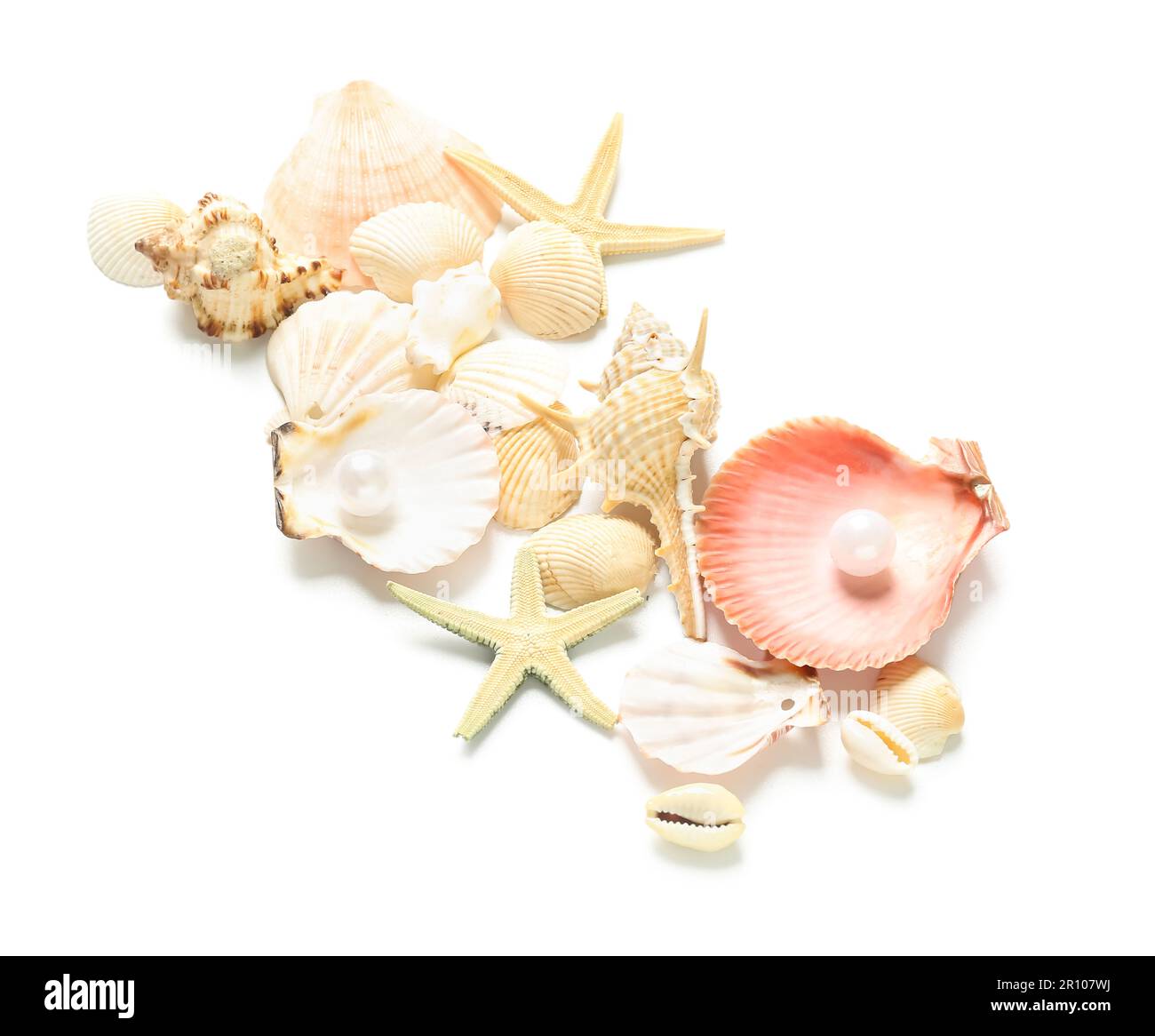 Different beautiful seashells on Cut Out Stock Images & Pictures - Alamy