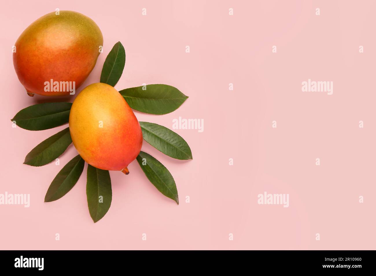 Fresh ripe mangoes on light pink background Stock Photo - Alamy