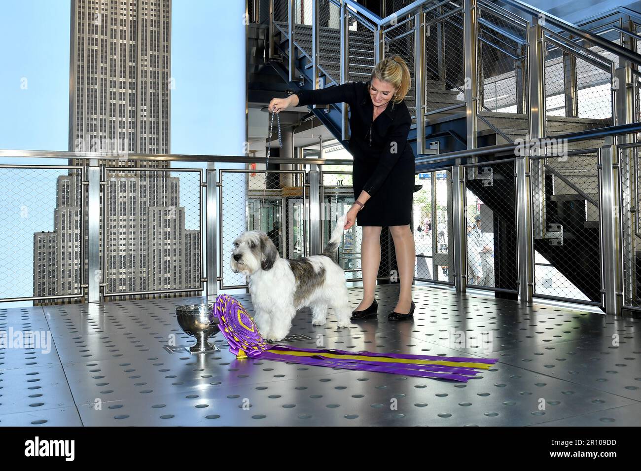 New York, USA. 10th May, 2023. With his handler Janice Hayes, ‘Buddy ...