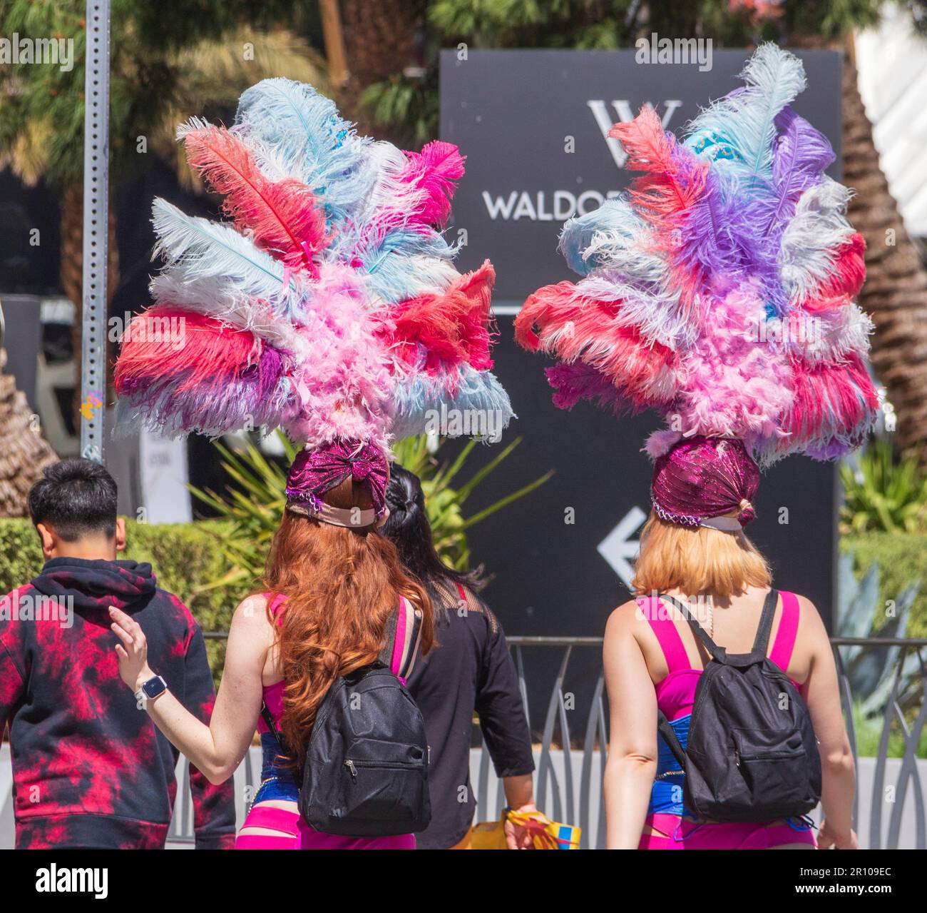 Ostrich Feather Hats on tourists on Las Vegas Blvd Stock Photo - Alamy