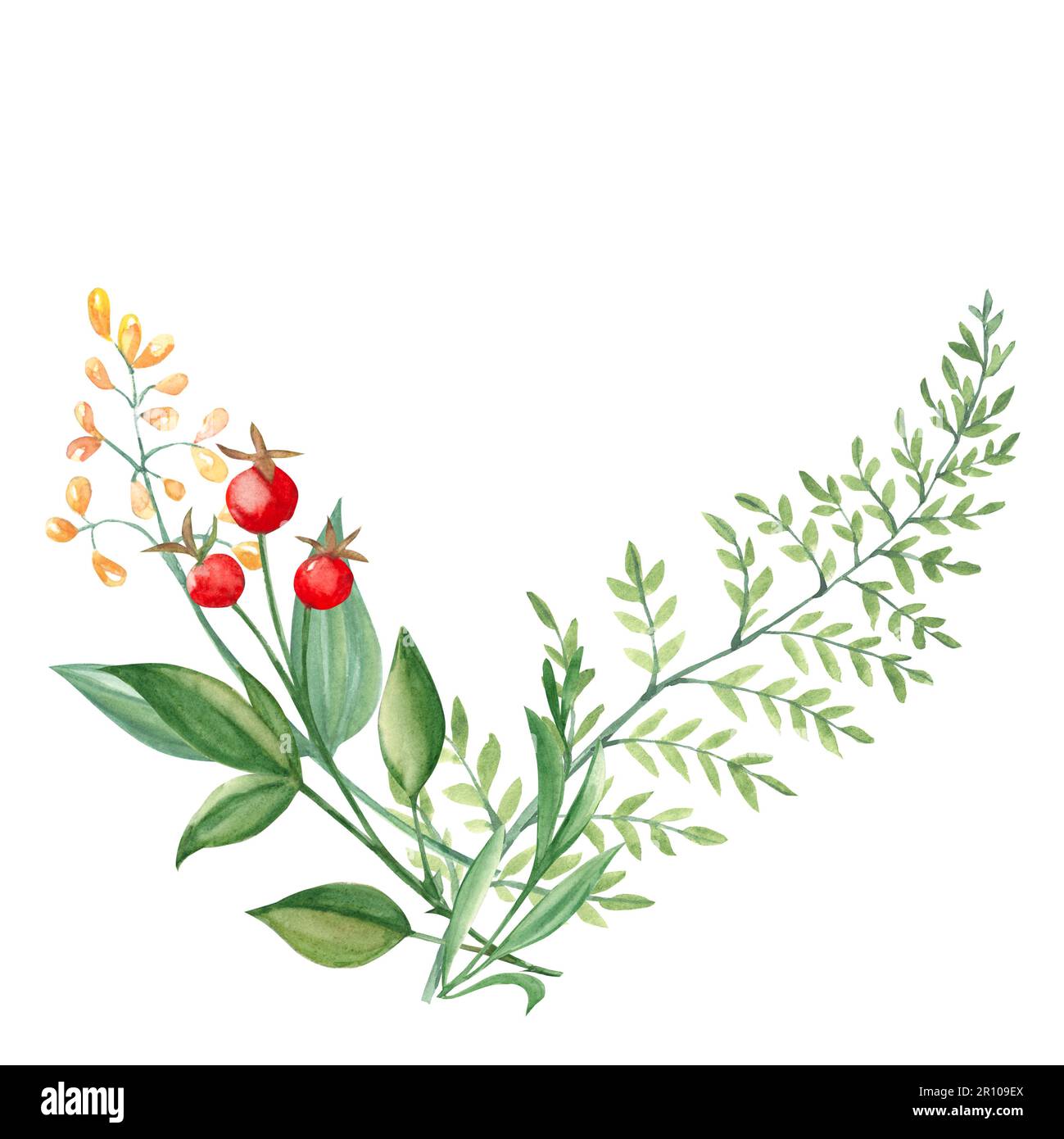 Summer Corner Border