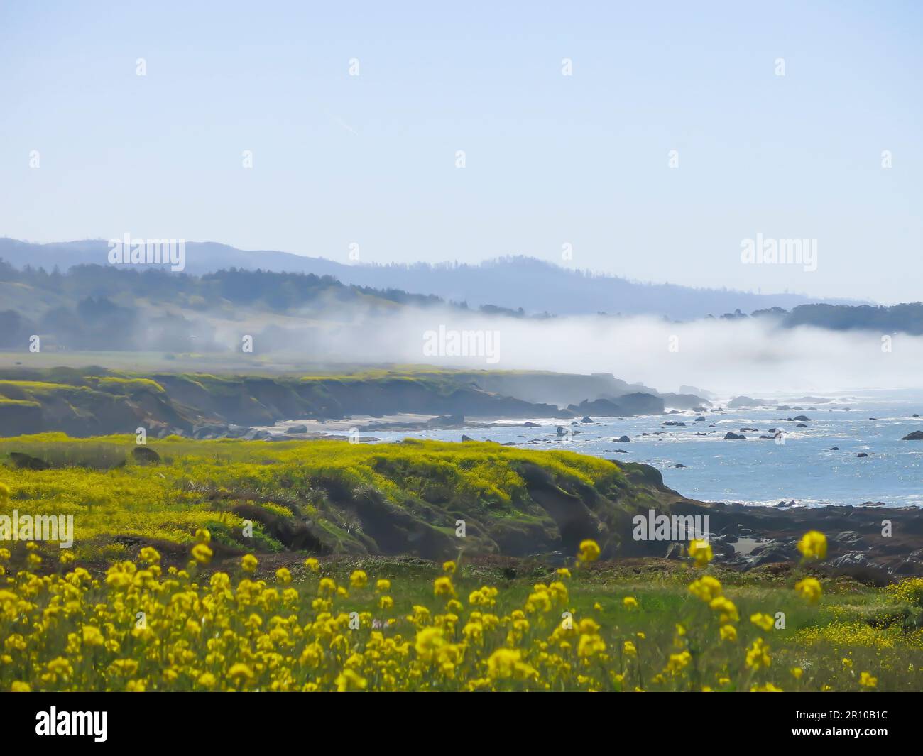 Pigeon Point Bluffs in Spring Floral Bloom Stock Photo - Alamy
