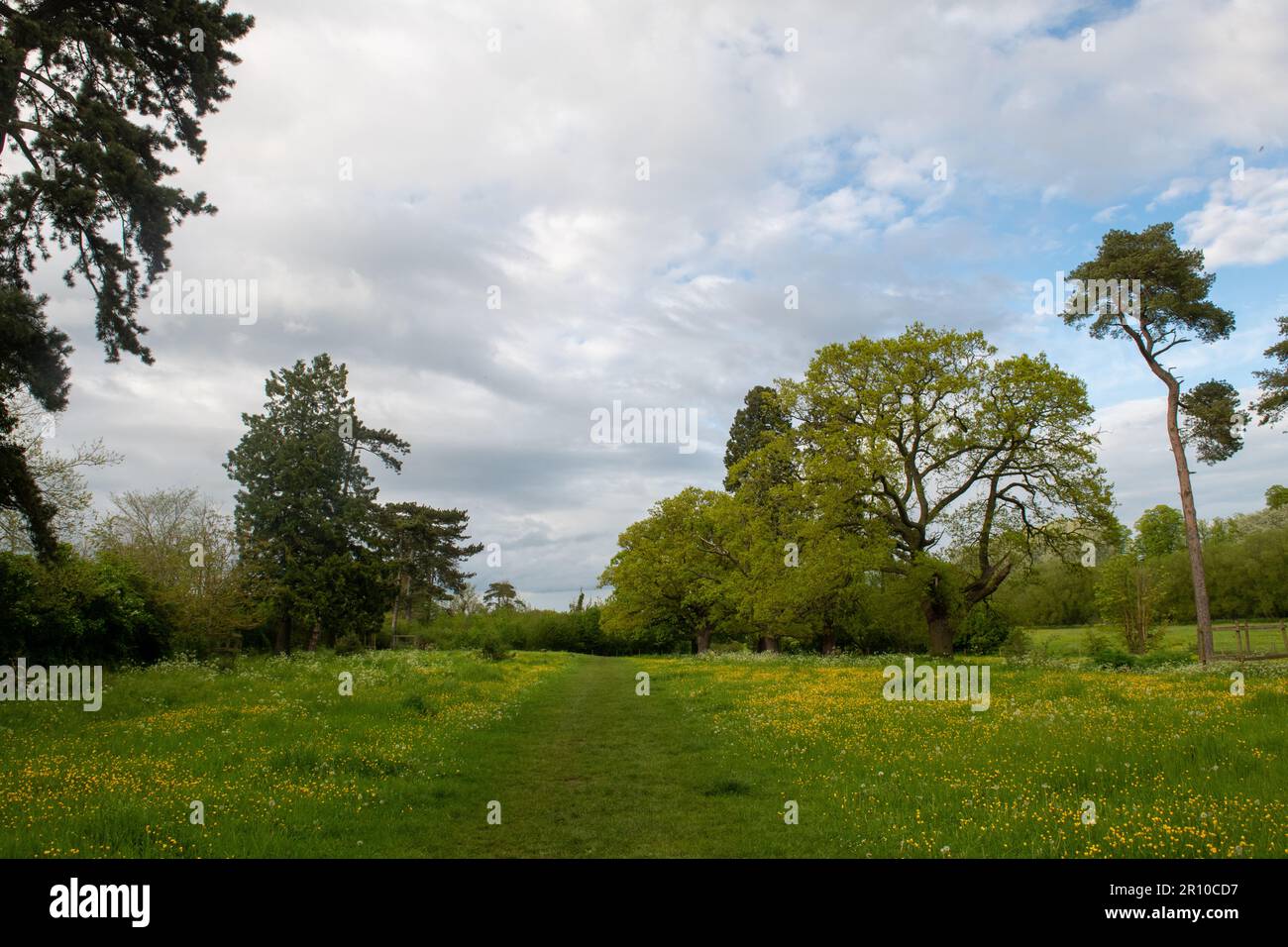 Path leading towards the river in Castle Meadows, Wallingford Stock ...