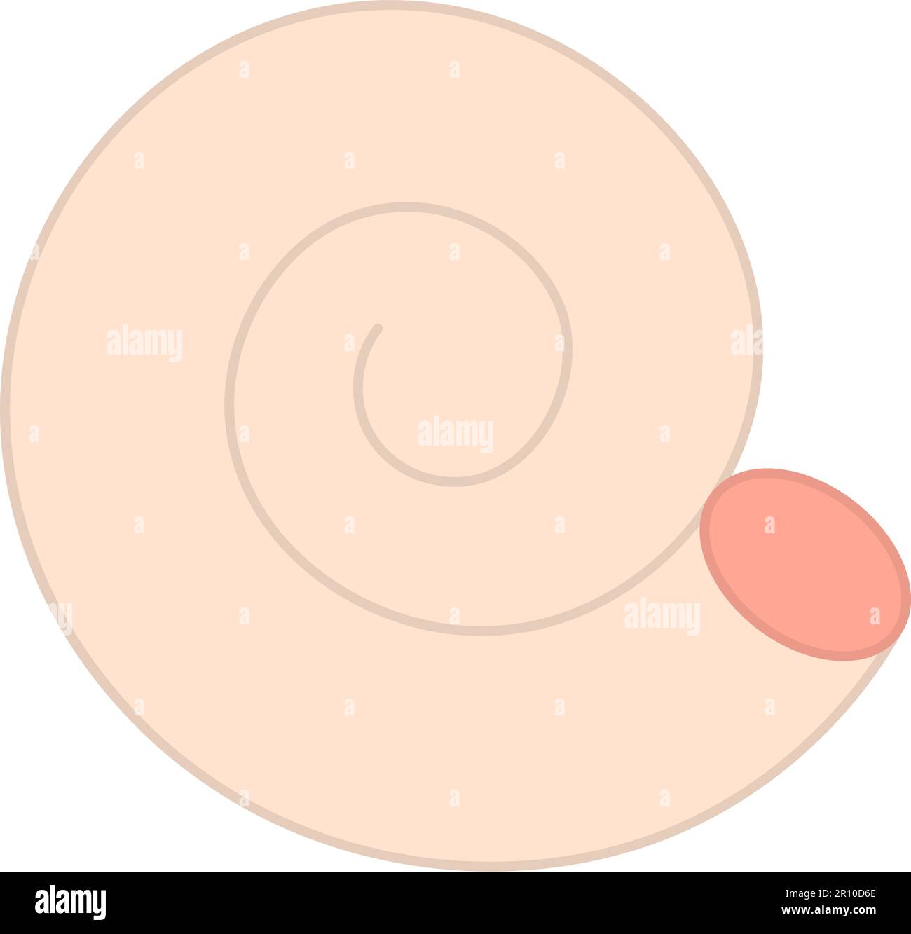 Spiral Shell icon vector image. Suitable for mobile apps, web apps and print media Stock Vector ...