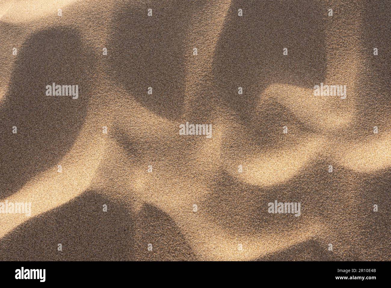 Close-up detail view of sand on sand dunes at the beach Stock Photo - Alamy