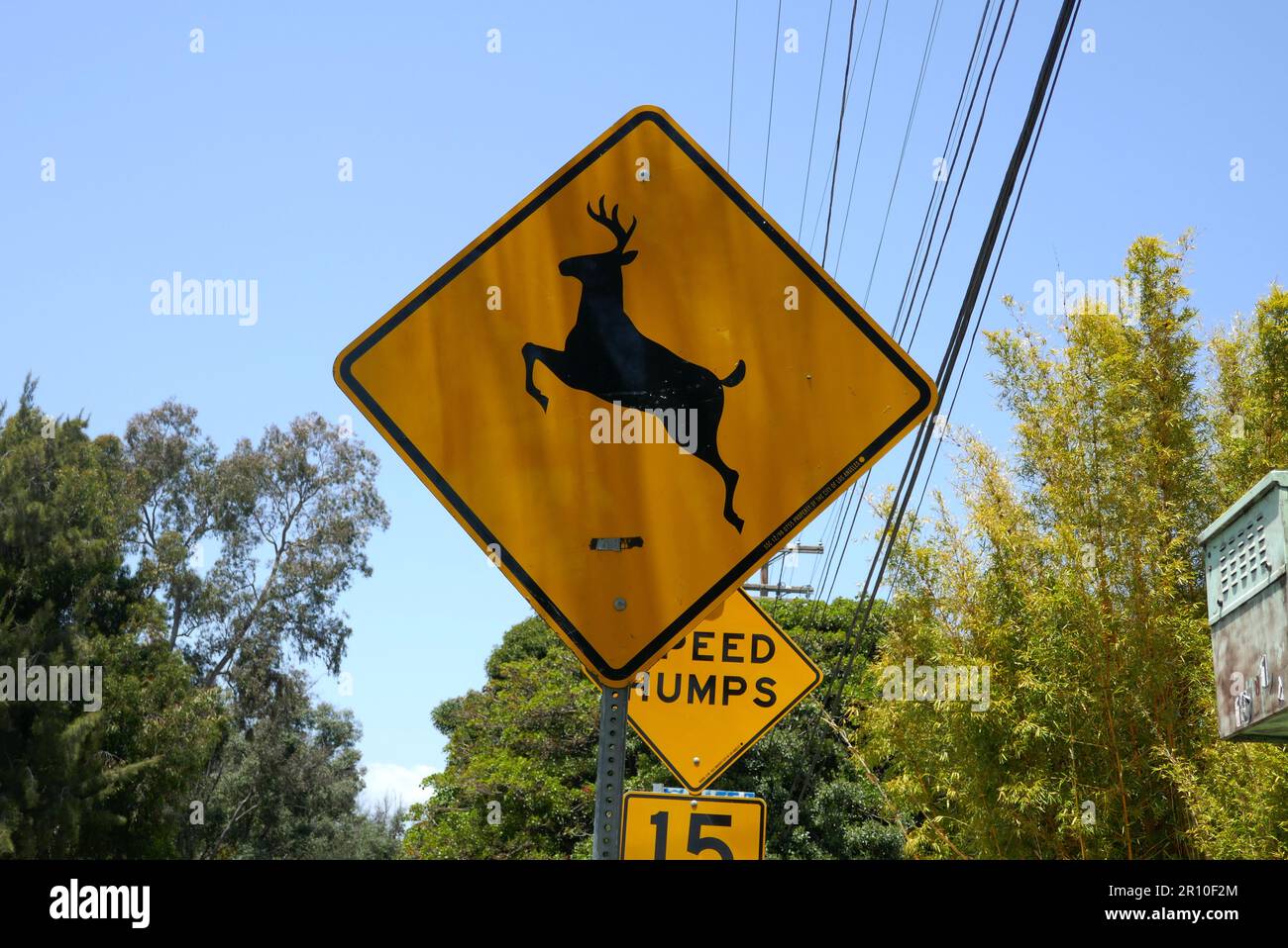 Los Angeles, California, USA 8th May 2023 Watch for Deer Sign on Kenter ...