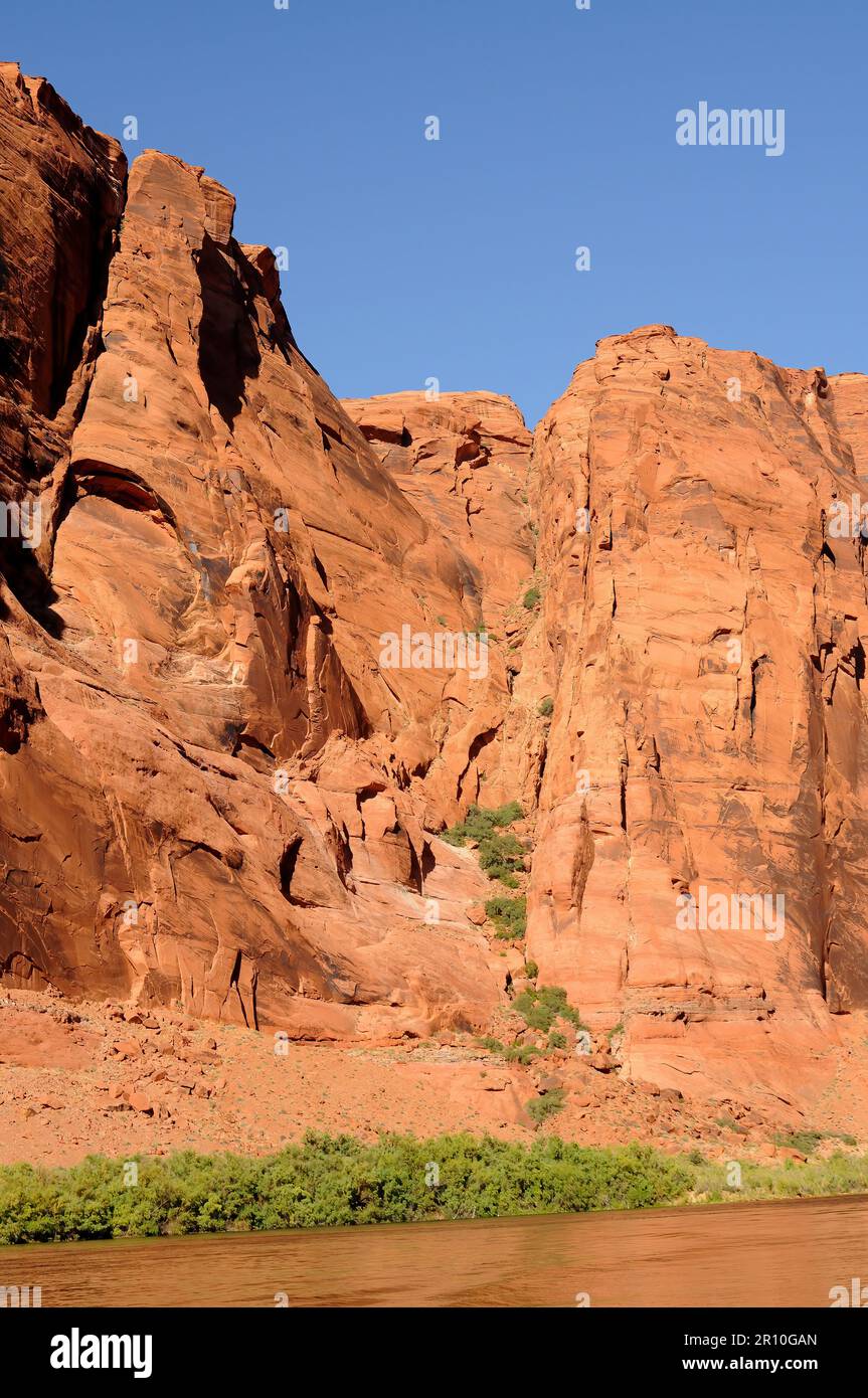 Colorado river and cliffs near Lee's Ferry Arizona Stock Photo - Alamy