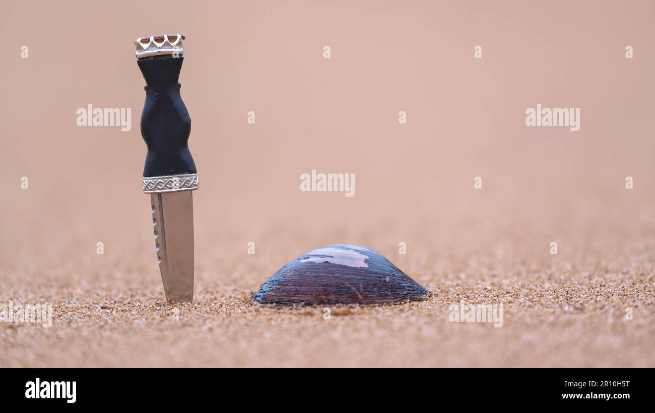Scottish dagger hi-res stock photography and images - Alamy