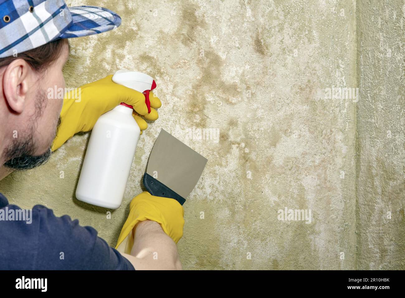 A male builder with a sprayer and a spatula cleans the wall from mold ...