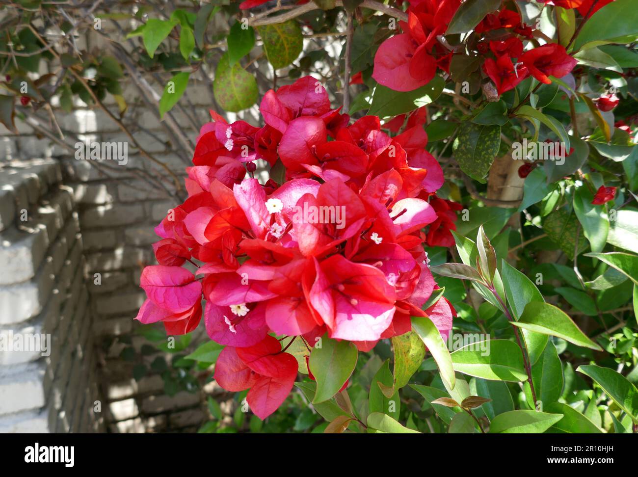 Los Angeles, California, USA 8th May 2023 Actor John Ritter and Actor ...