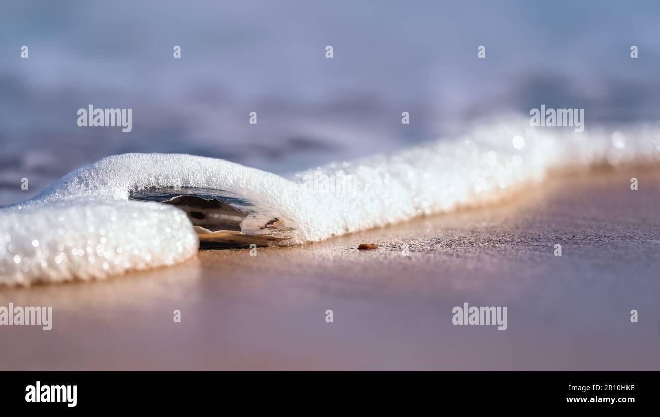 Sea shell lying on a sandy beach washed by creamy white surf Stock ...