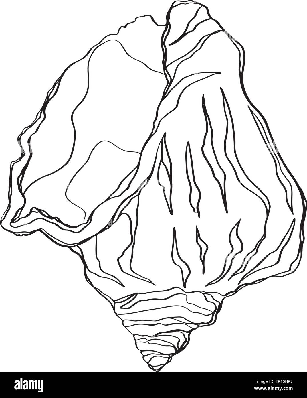 Hand drawn doodle shell. Vector illustration. Hand drawn shell. Vector ...