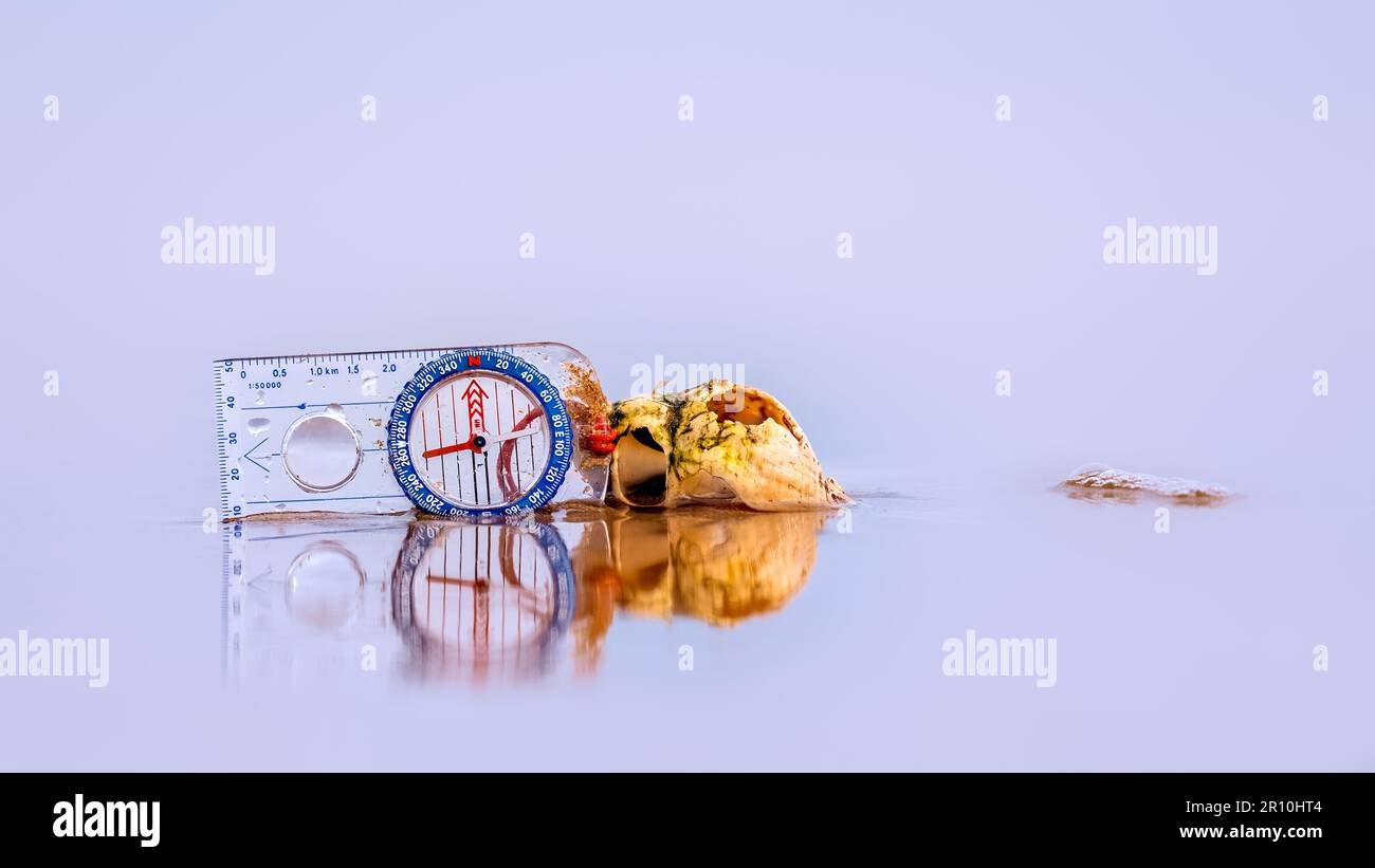 Orienteering compass and sea shell reflected in wet sand Stock Photo ...