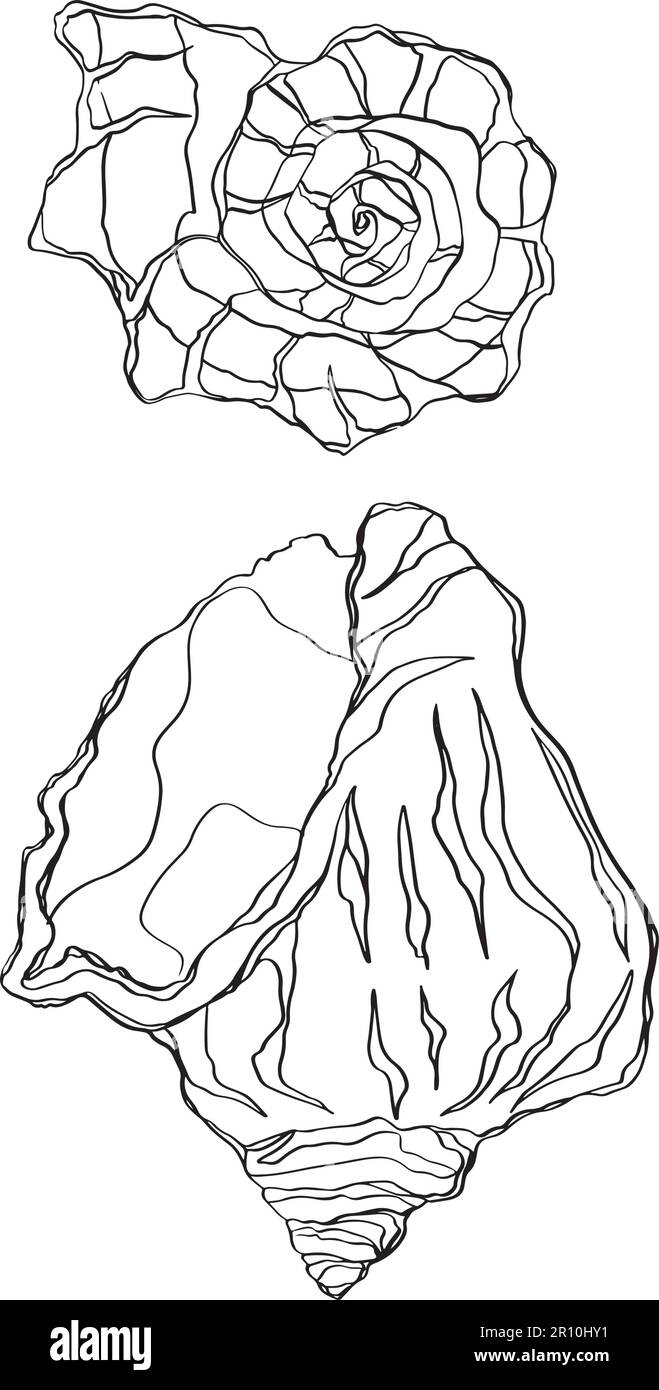 Hand drawn doodle shell. Vector illustration. Hand drawn shell. Vector ...